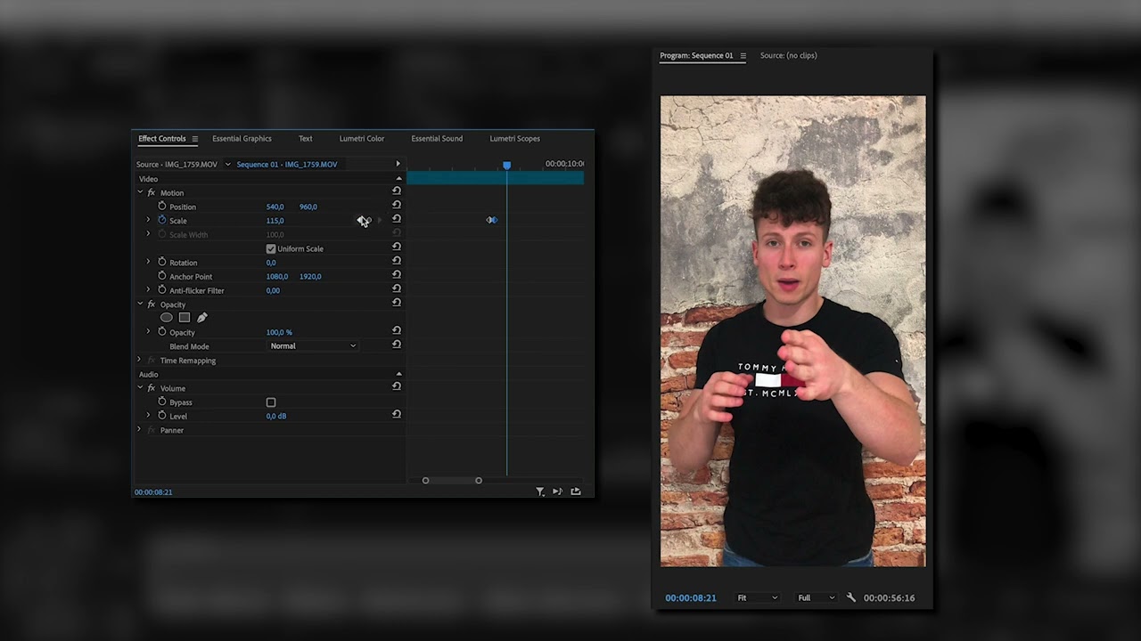 Verwendung der Zooms für ANFÄNGER in Premiere Pro – Web Design Tutorials