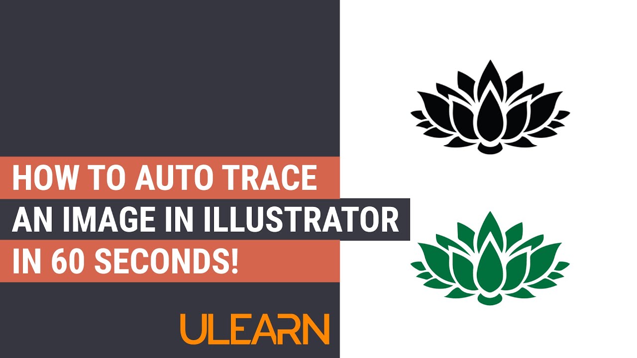 How to Auto Trace an Image in Illustrator in 60 seconds! – Web Design ...